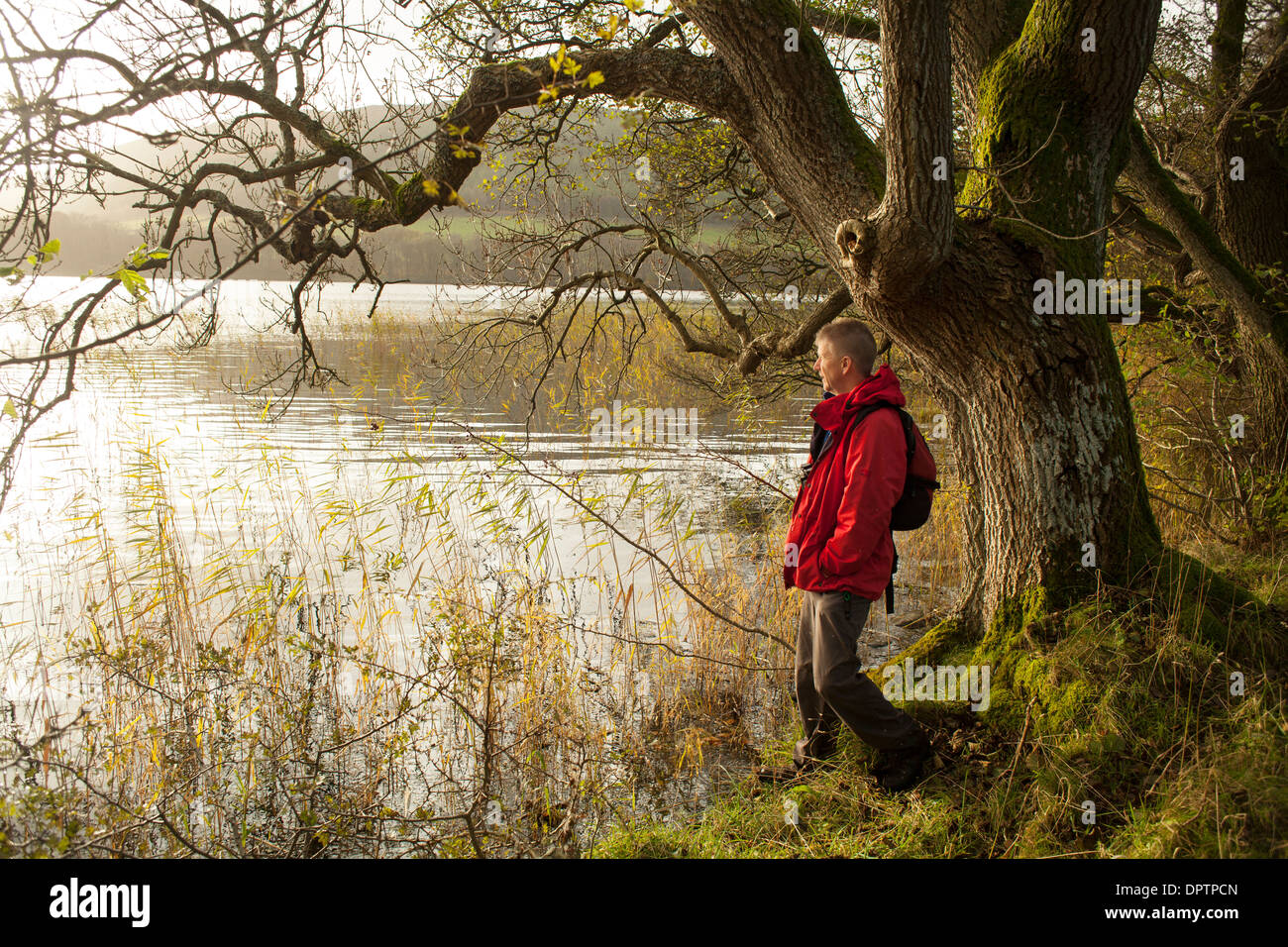 Walker stand at the side of Loch Arthur near Beeswing Scotland. Loch ...
