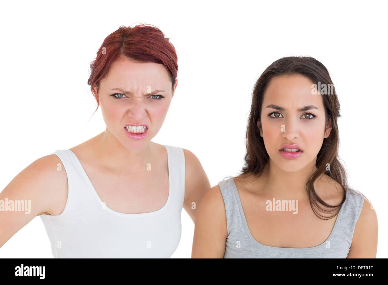 Fury friends hi-res stock photography and images - Alamy