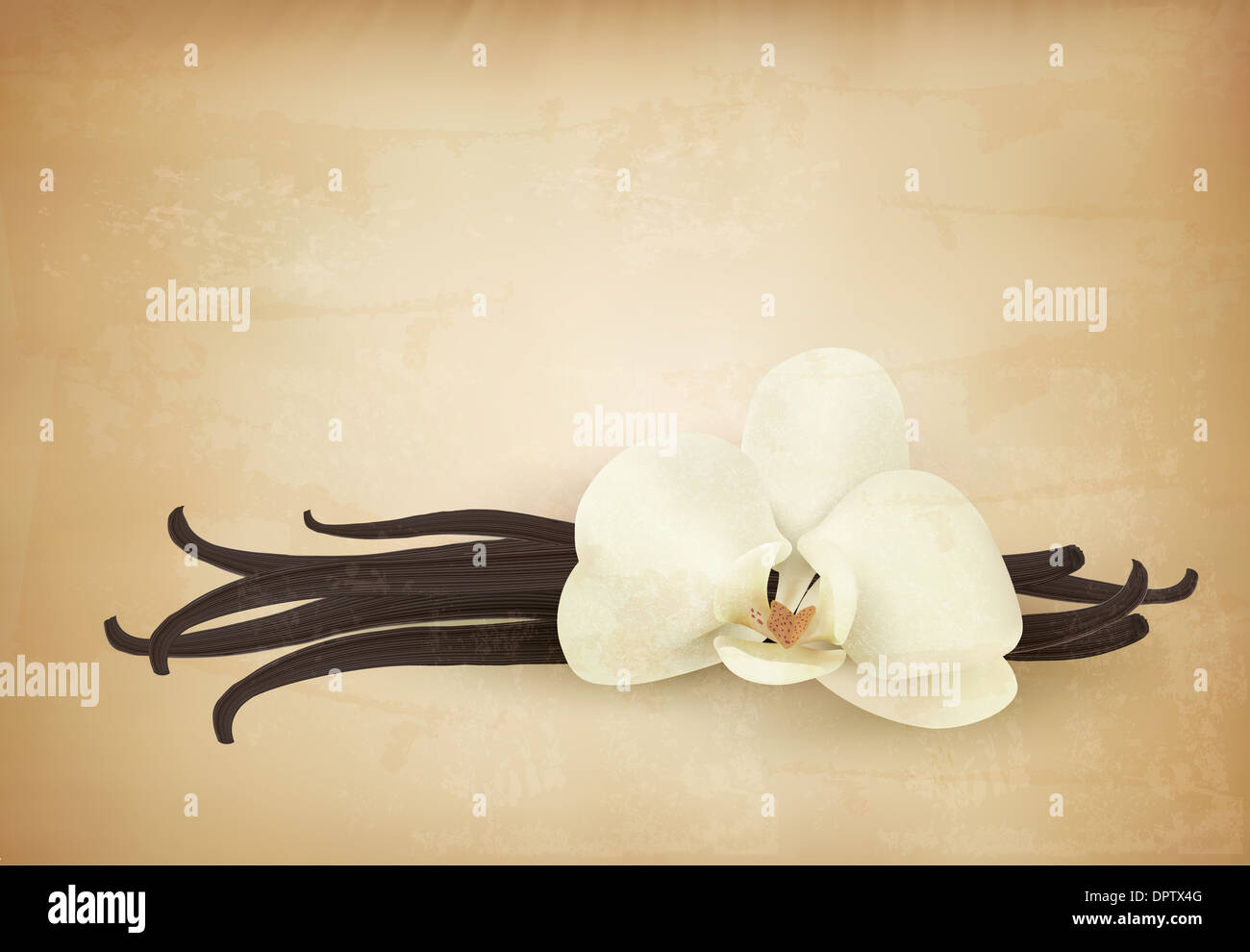 Vanilla retro background. Vector Stock Photo - Alamy
