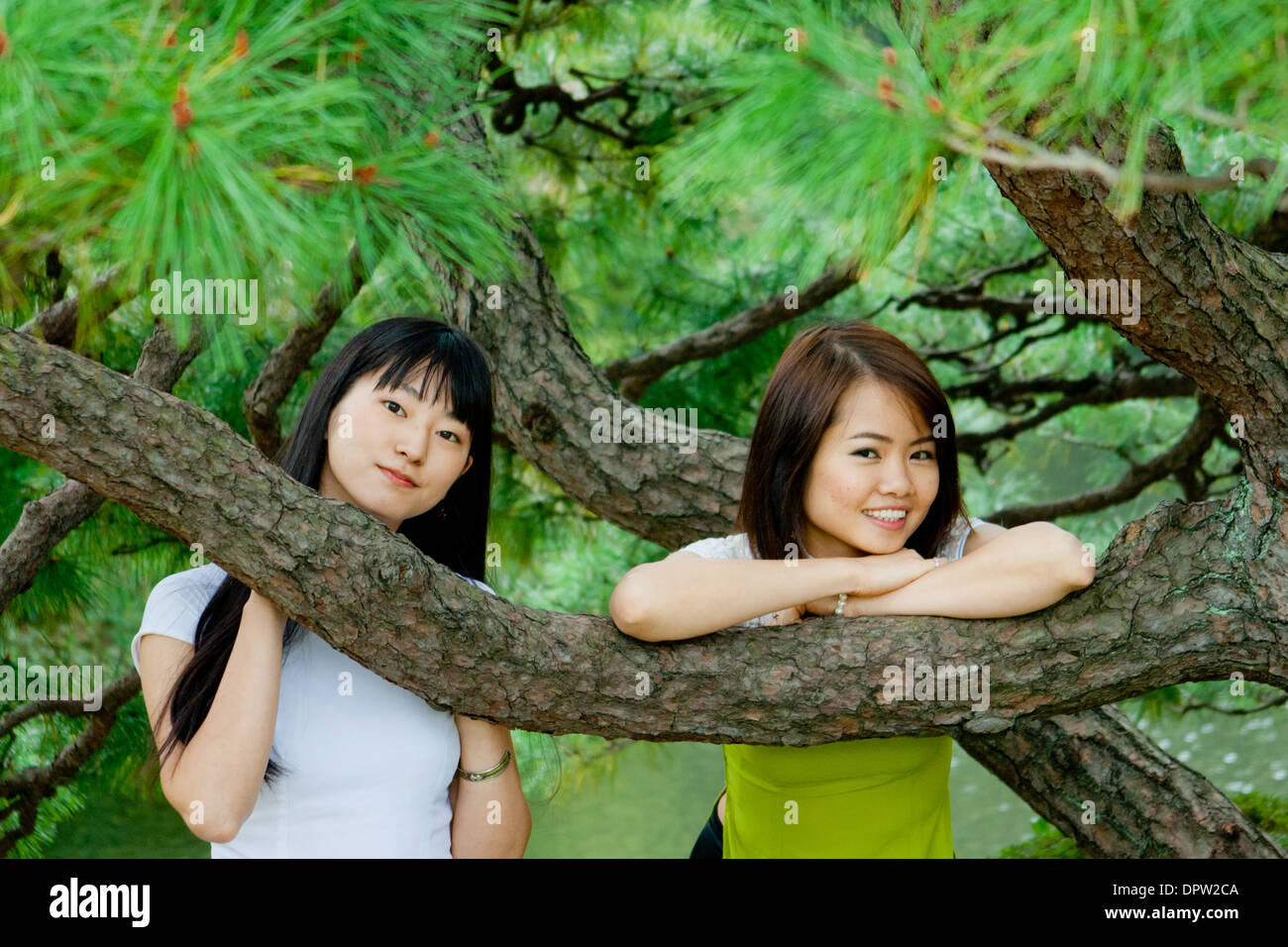 Two young women leaning on evergreen branch Stock Photo - Alamy