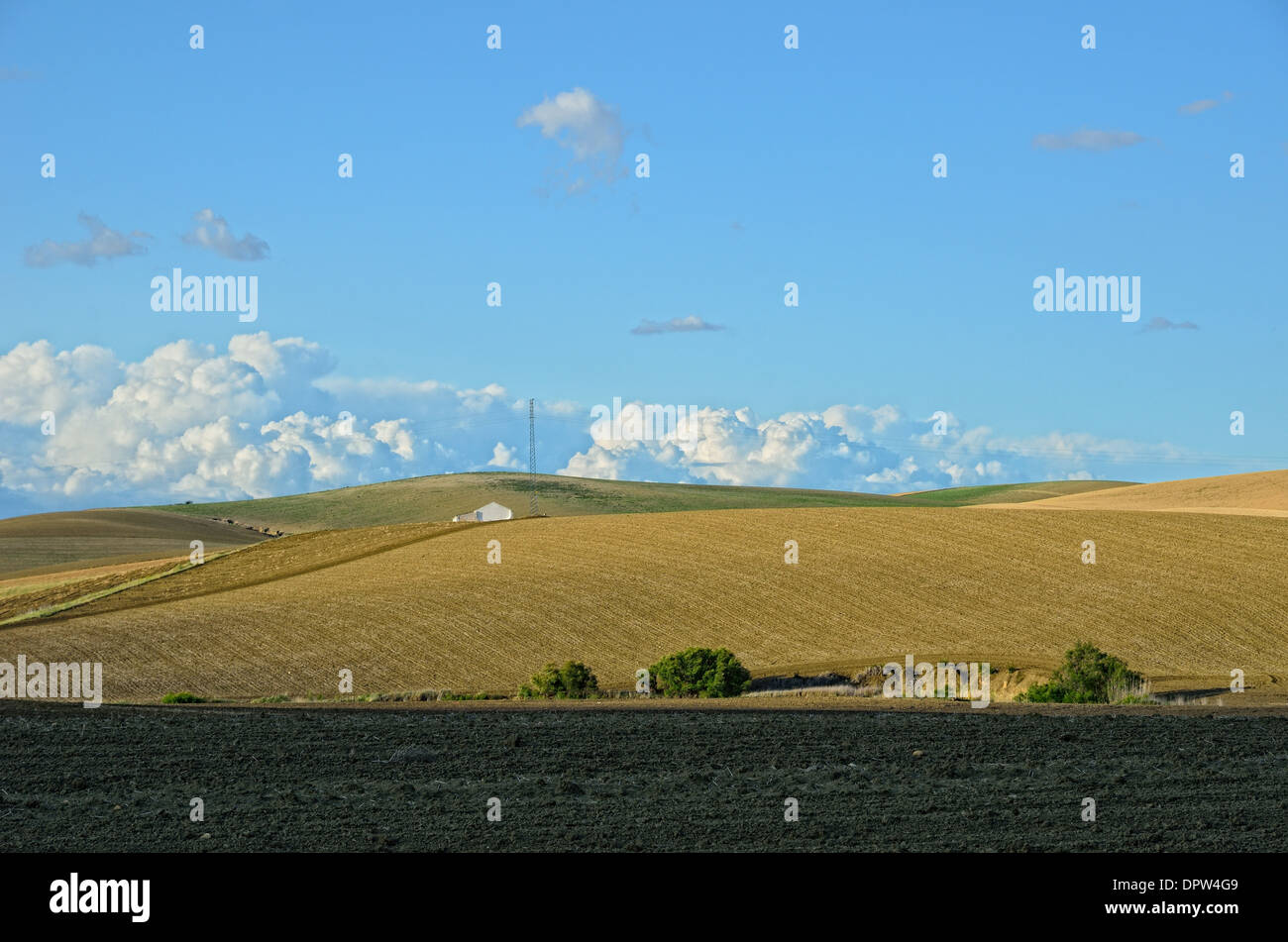 Spanish plough hi-res stock photography and images - Alamy