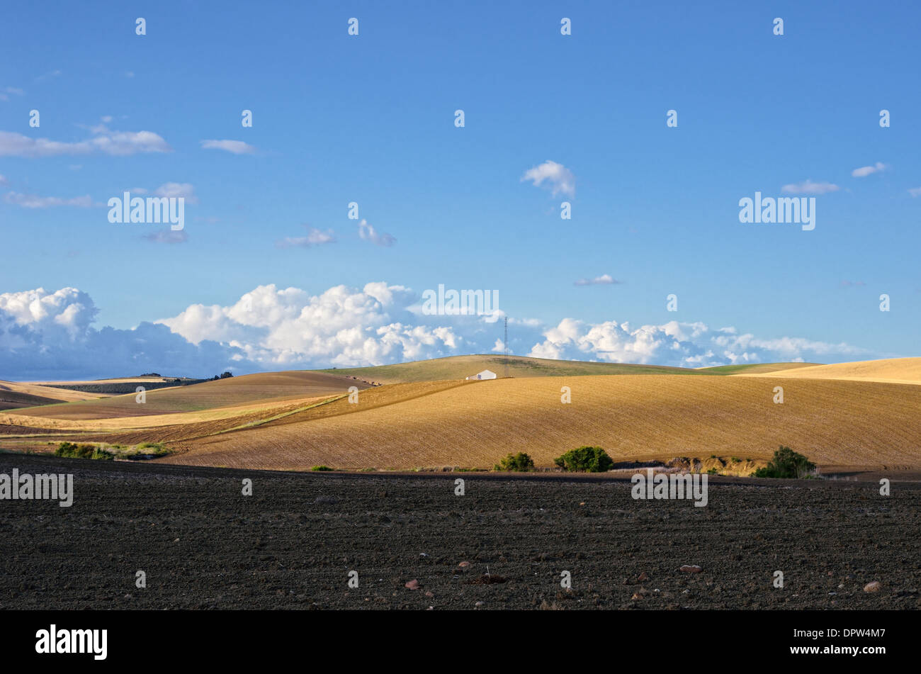 Spanish country landscape in spring Stock Photo - Alamy