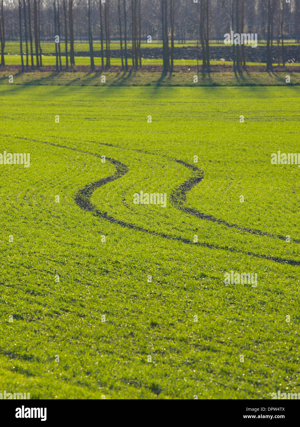 Agricultural field rows of green hi-res stock photography and images ...