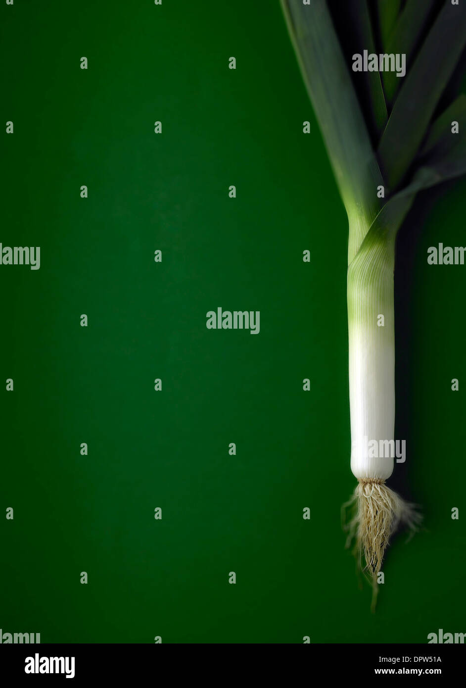 Leek roots close up hi-res stock photography and images - Alamy