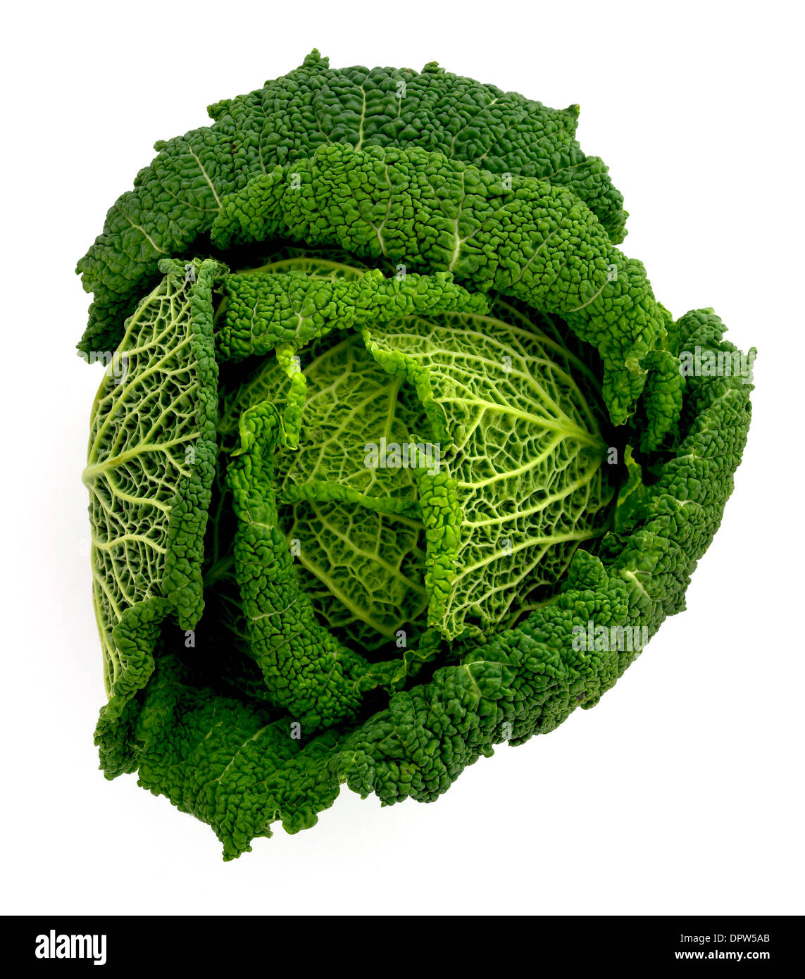 Cabbage ingredients Cut Out Stock Images & Pictures - Alamy