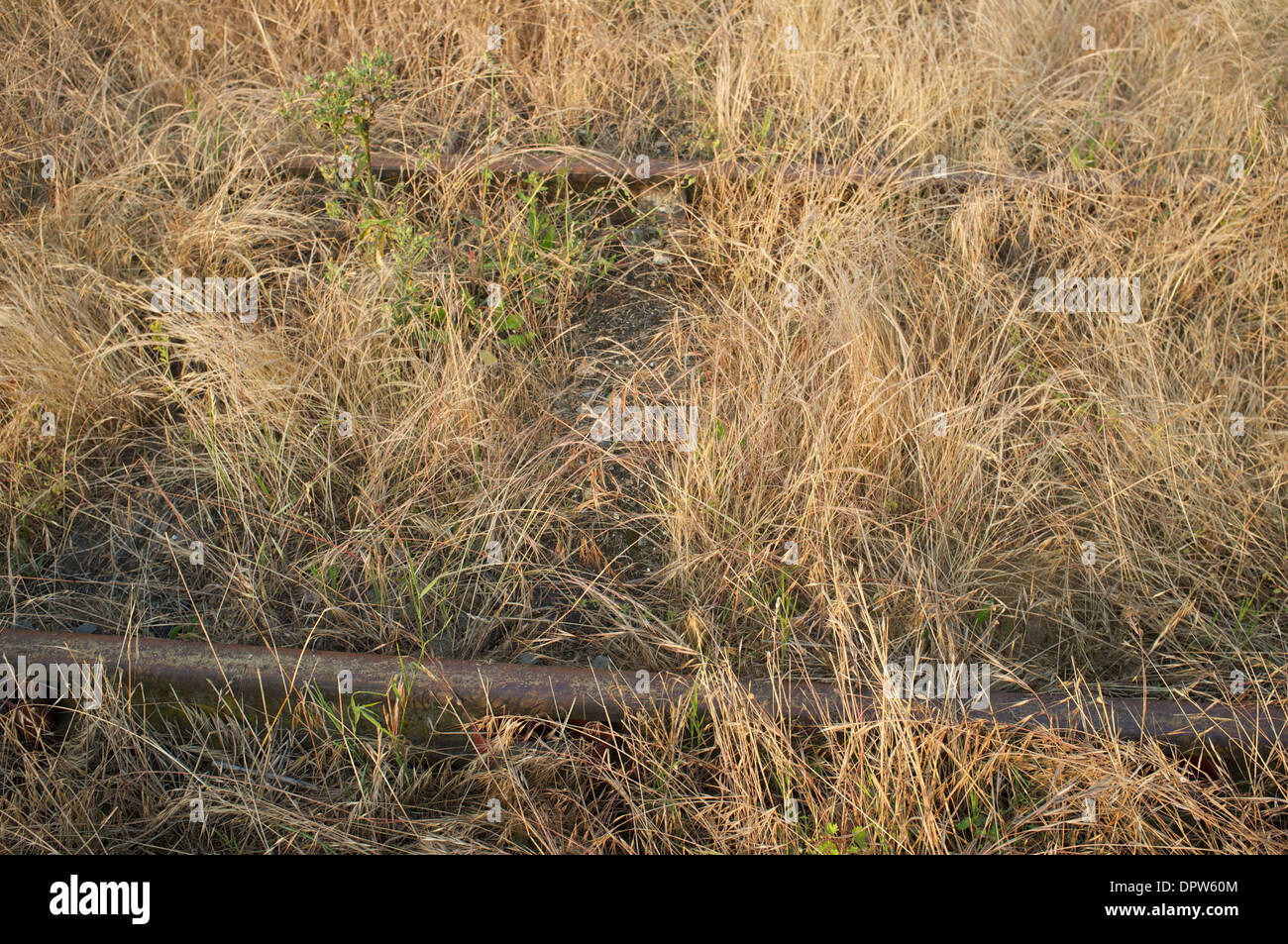 Disused railway tracks hi-res stock photography and images - Alamy
