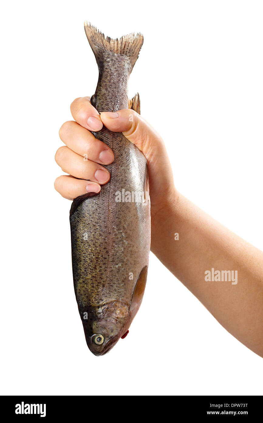 Clipart fish hi-res stock photography and images - Alamy