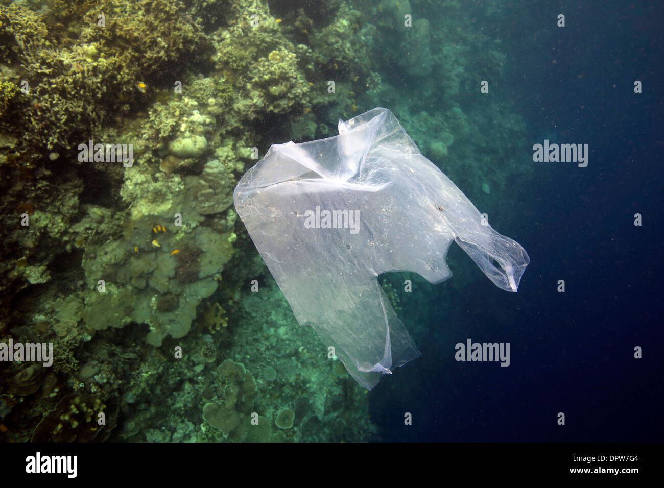 Plastic bags and other hazardous garbage floating underwater over coral ...