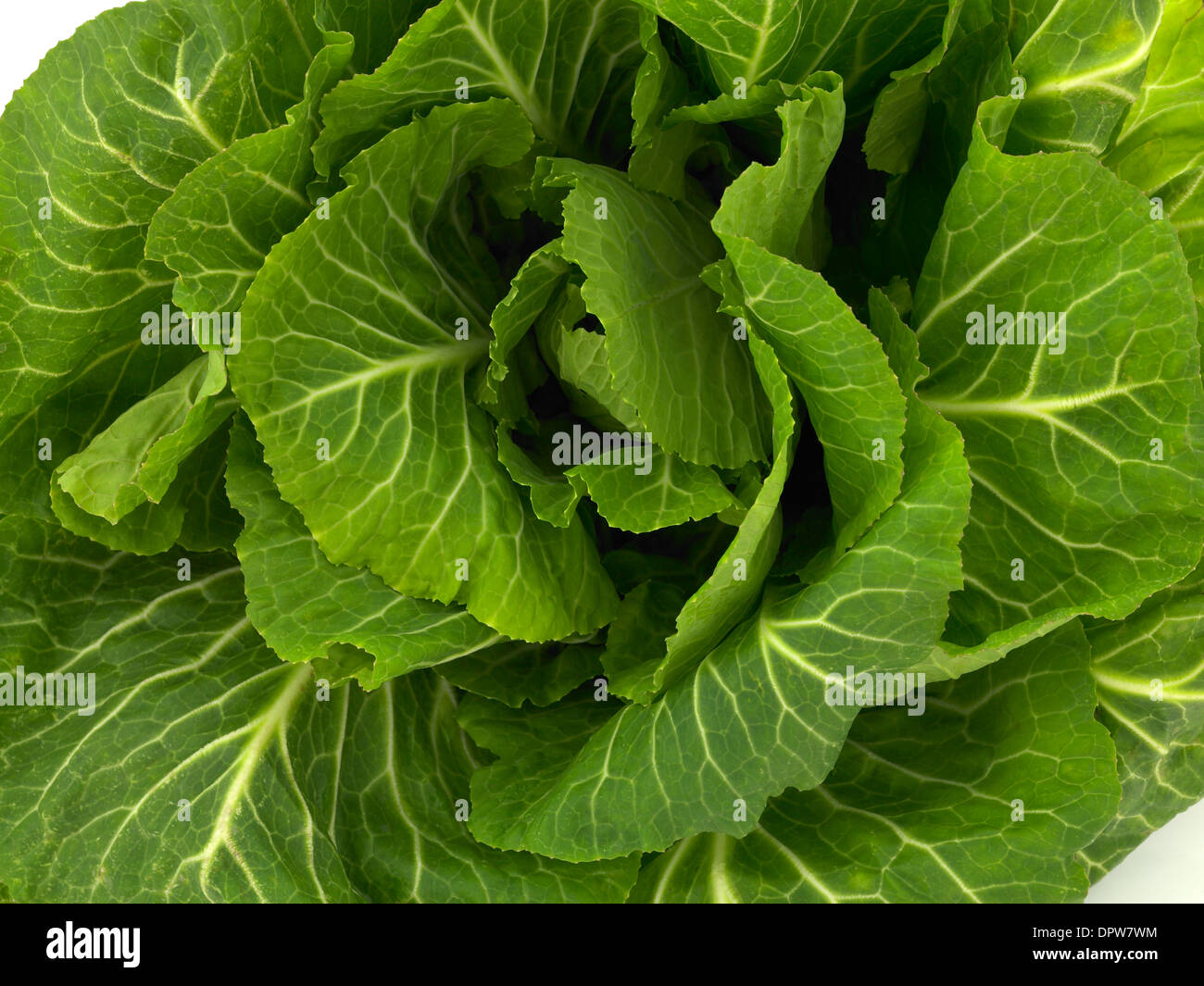Sprout tops hi-res stock photography and images - Alamy