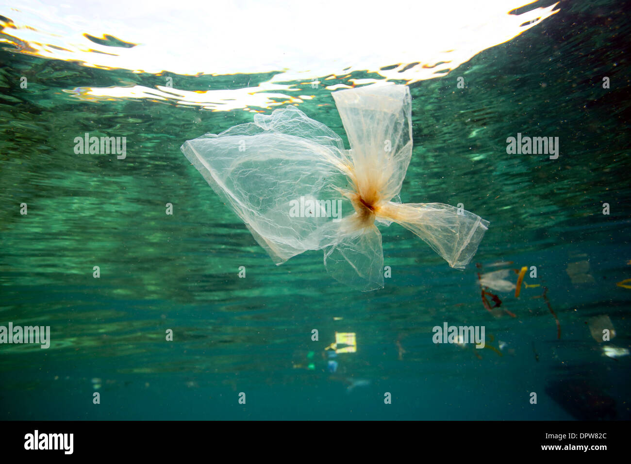 Plastic bags and other hazardous garbage floating underwater over coral ...