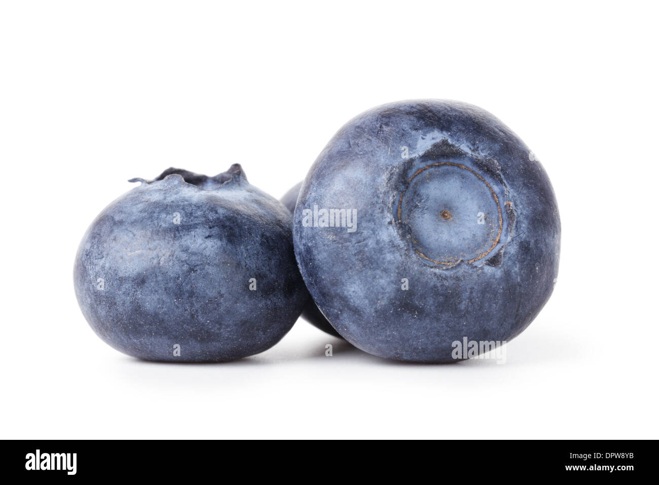 three fresh blueberries, isolated on white background Stock Photo - Alamy