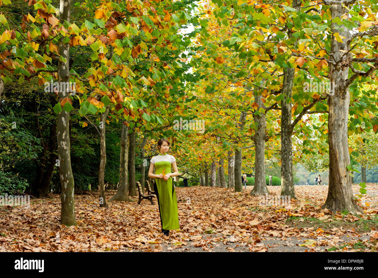 Young woman walking alone on an autumn leaf-covered path between autumn ...