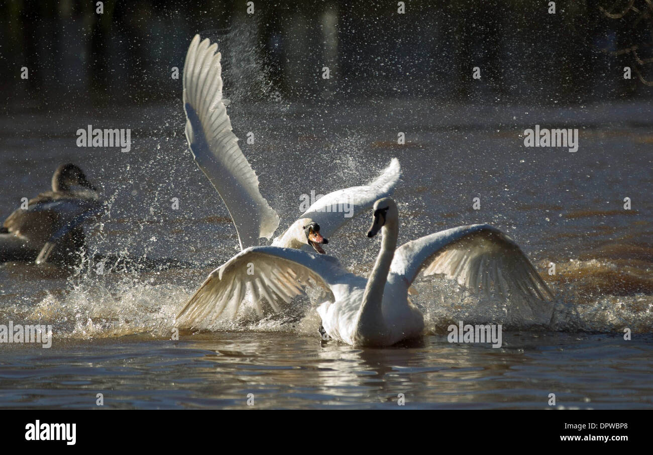 After heavy rainfall river hi-res stock photography and images - Alamy