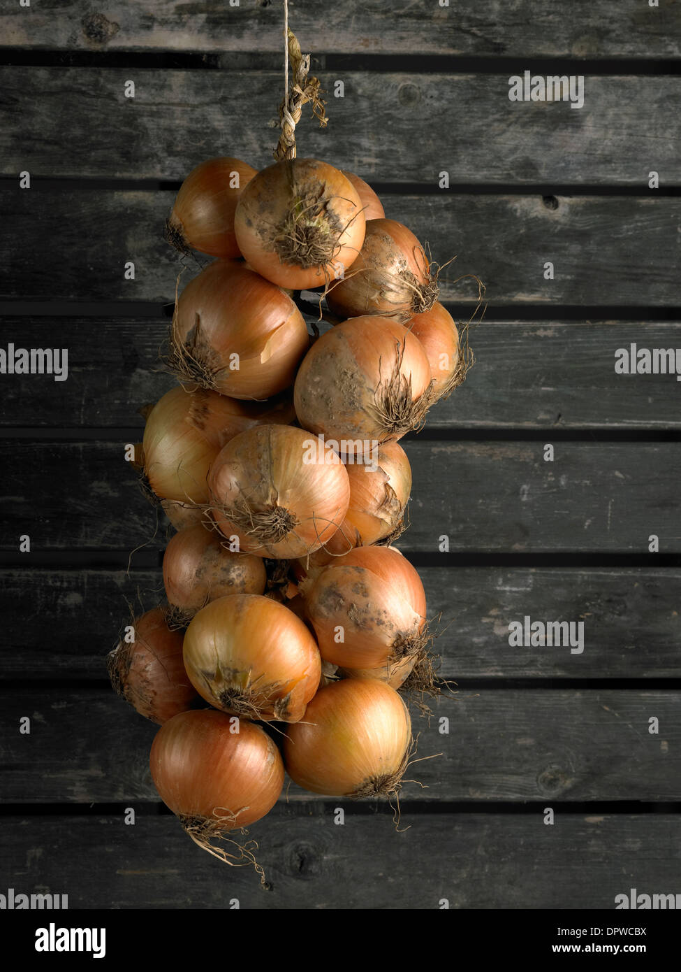 Skinned onion hi-res stock photography and images - Alamy