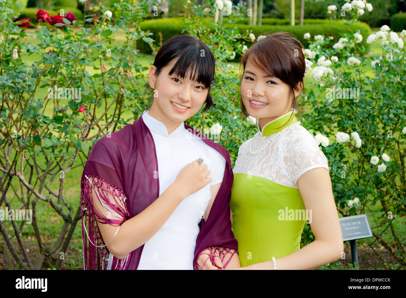 Sunny Autumn Smile in a Traditional Vietnamese Dress Stock Photo - Alamy