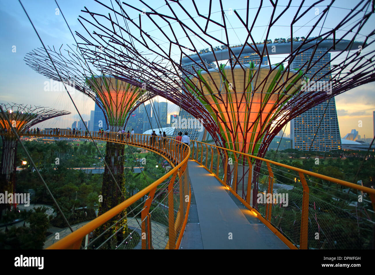 Supertree Grove light show at Gardens by the Bay in Singapore Stock ...