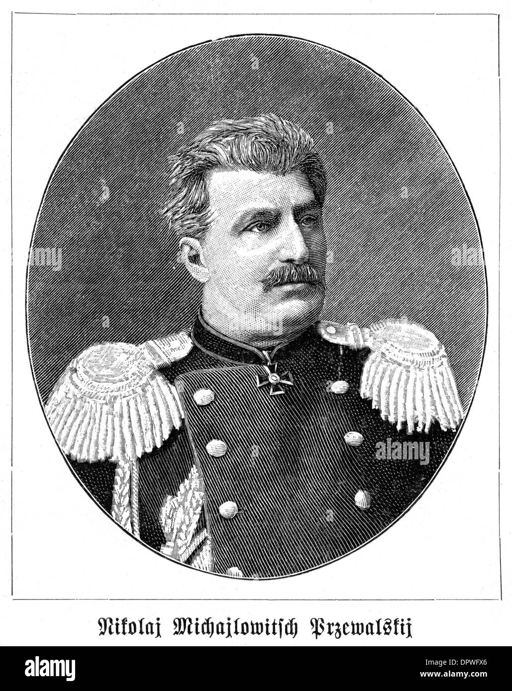 Prjevalsky Black and White Stock Photos & Images - Alamy