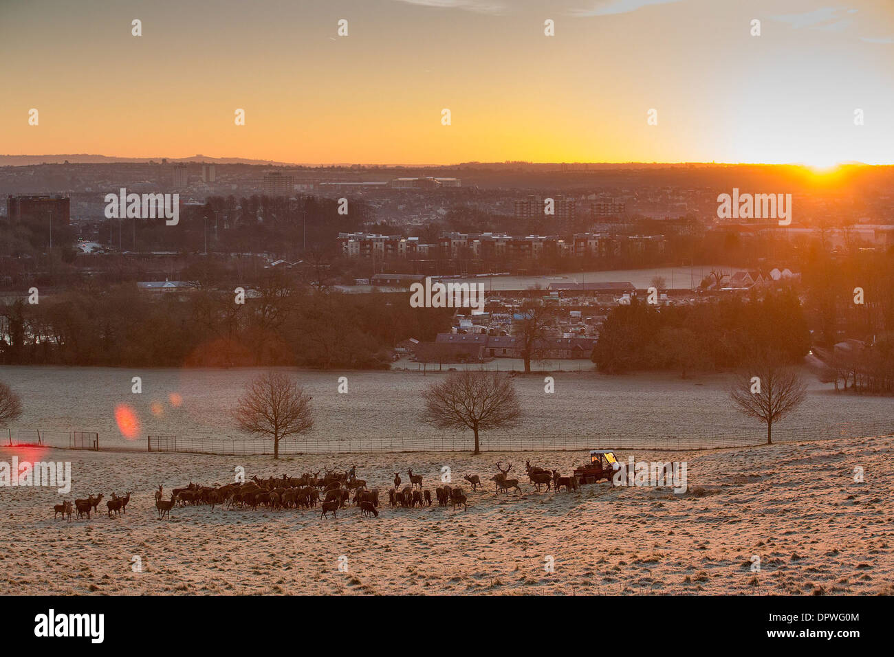 Ashton frost hi-res stock photography and images - Alamy