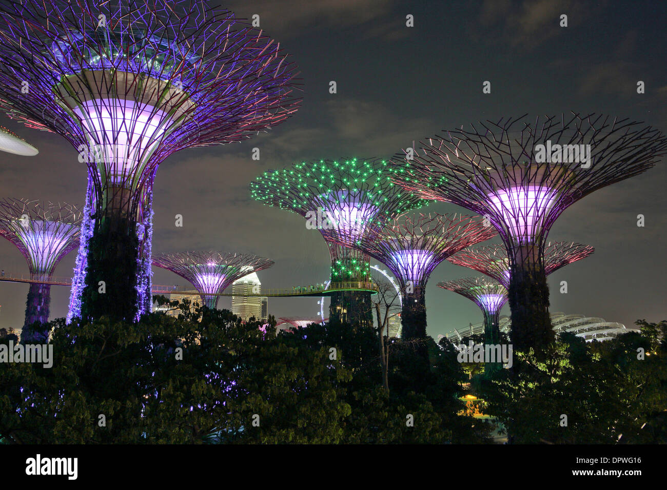 Supertree Grove light show at Gardens by the Bay in Singapore Stock ...