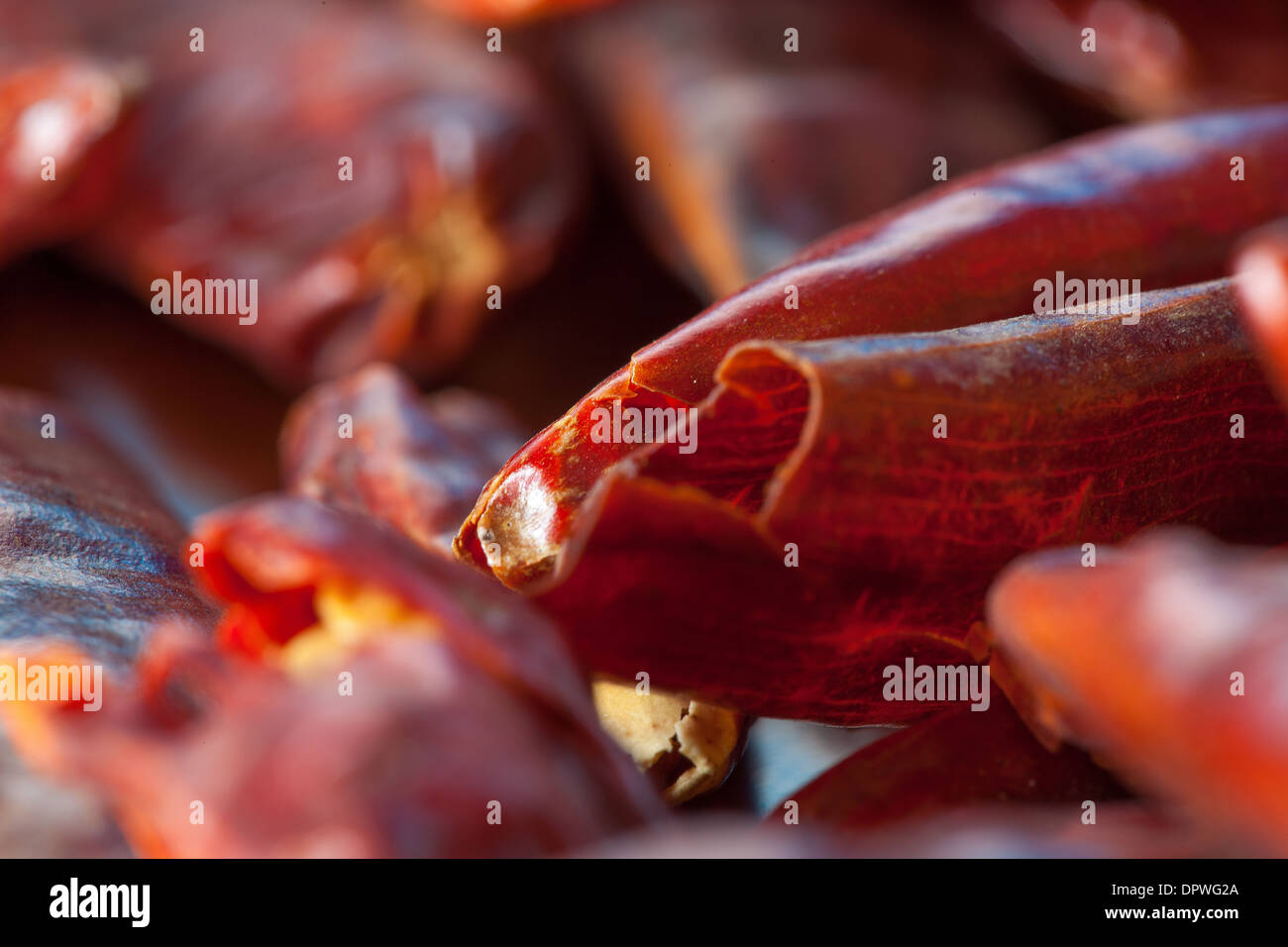 Hontaka hi-res stock photography and images - Alamy