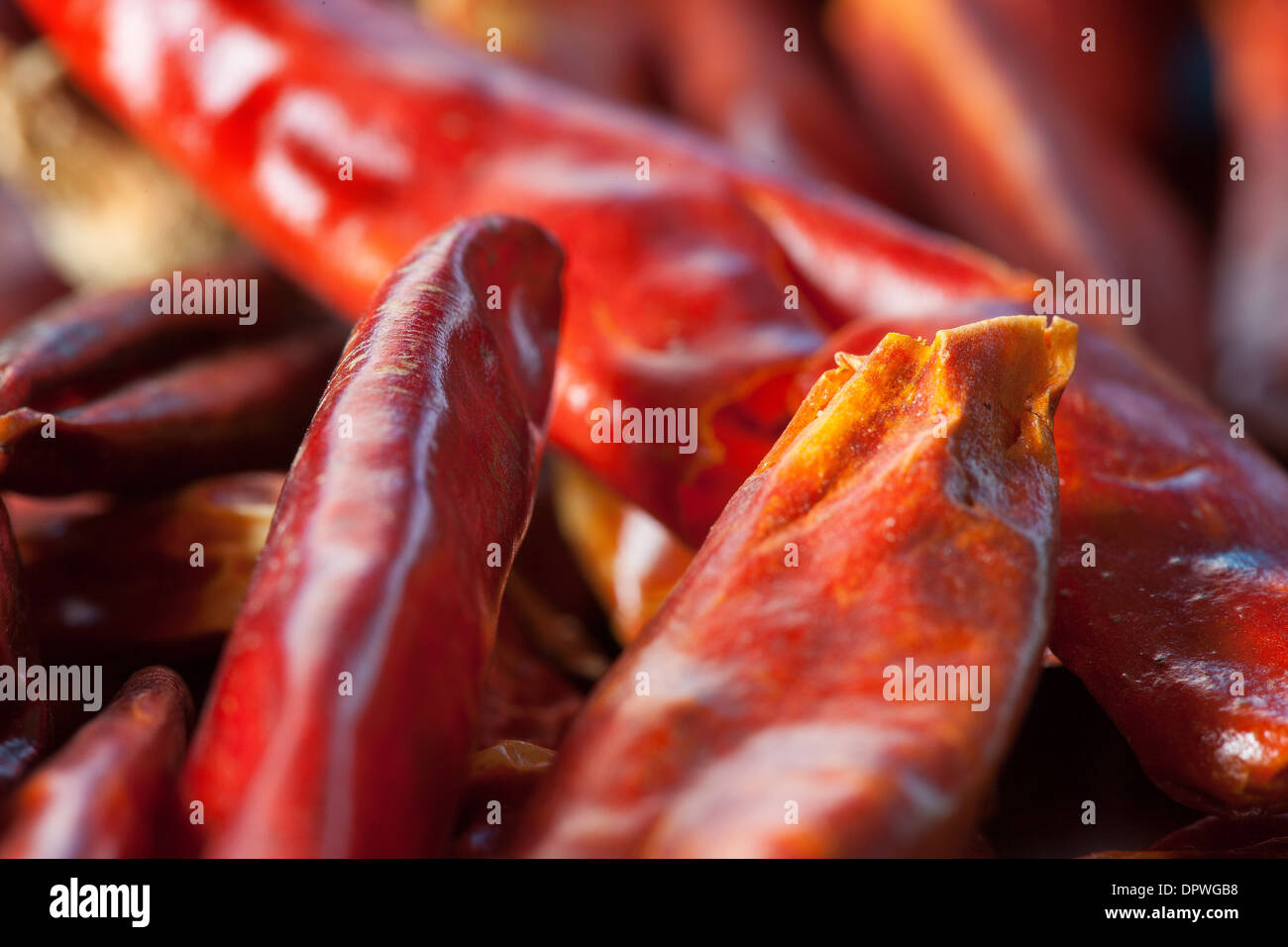 Red Chili Peppers Stock Photo - Alamy