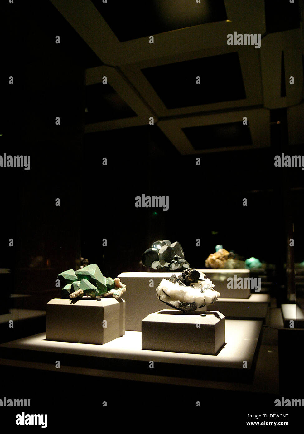 Jan 05, 2009 - Houston, Texas, USA - A sample of exhibits from the ...