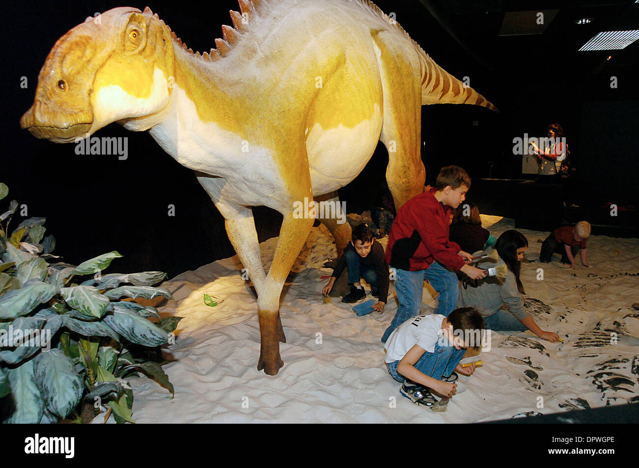 The houston museum of natural science hi-res stock photography and ...