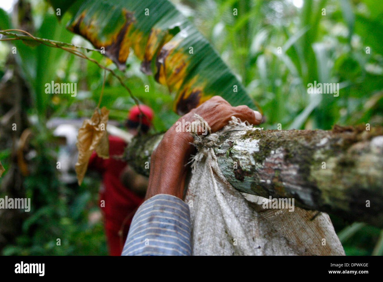 Coconut fishing in panama hi-res stock photography and images - Alamy