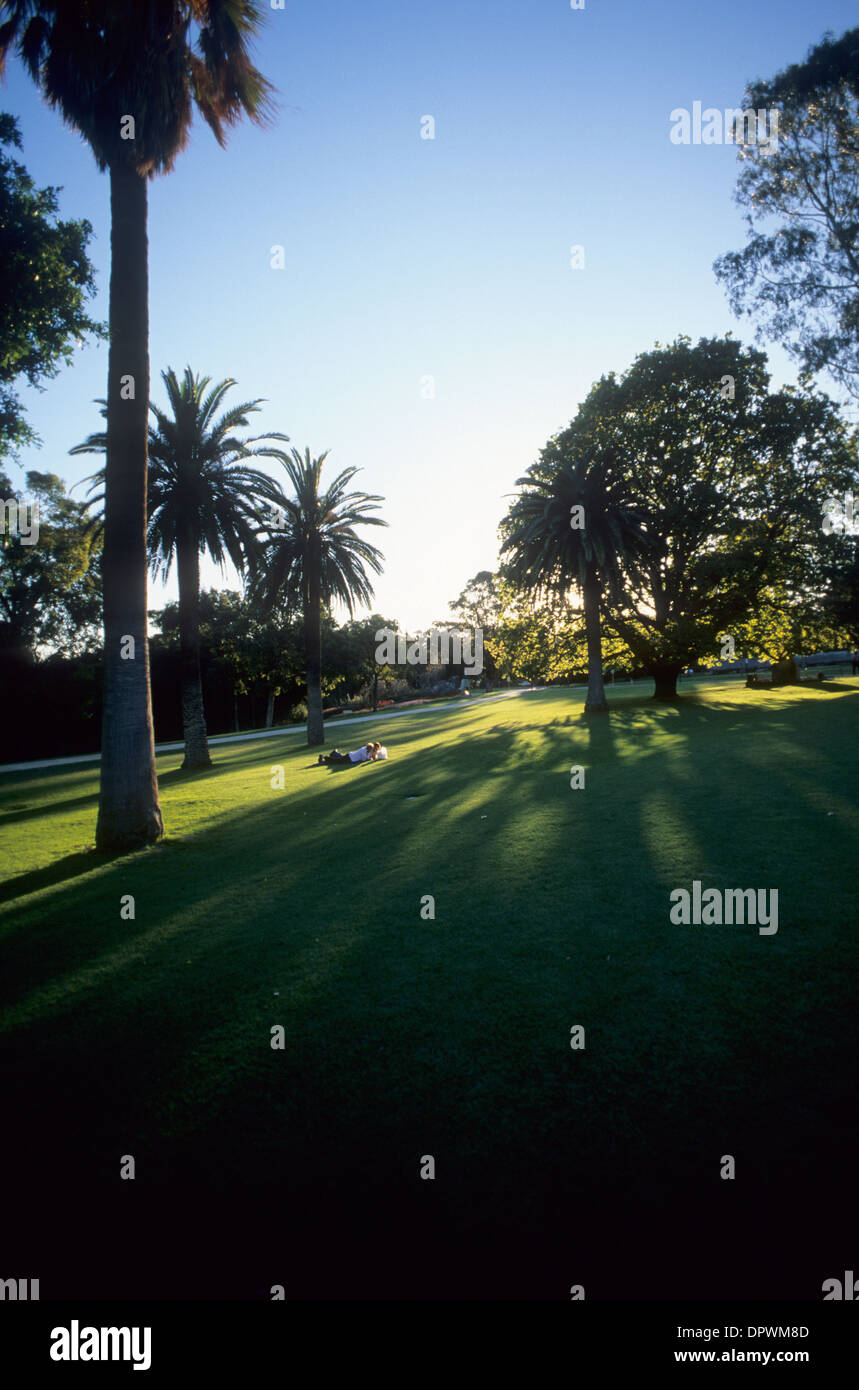 Australia, WA, Perth, King's Park at sunset with palms. The park is the ...
