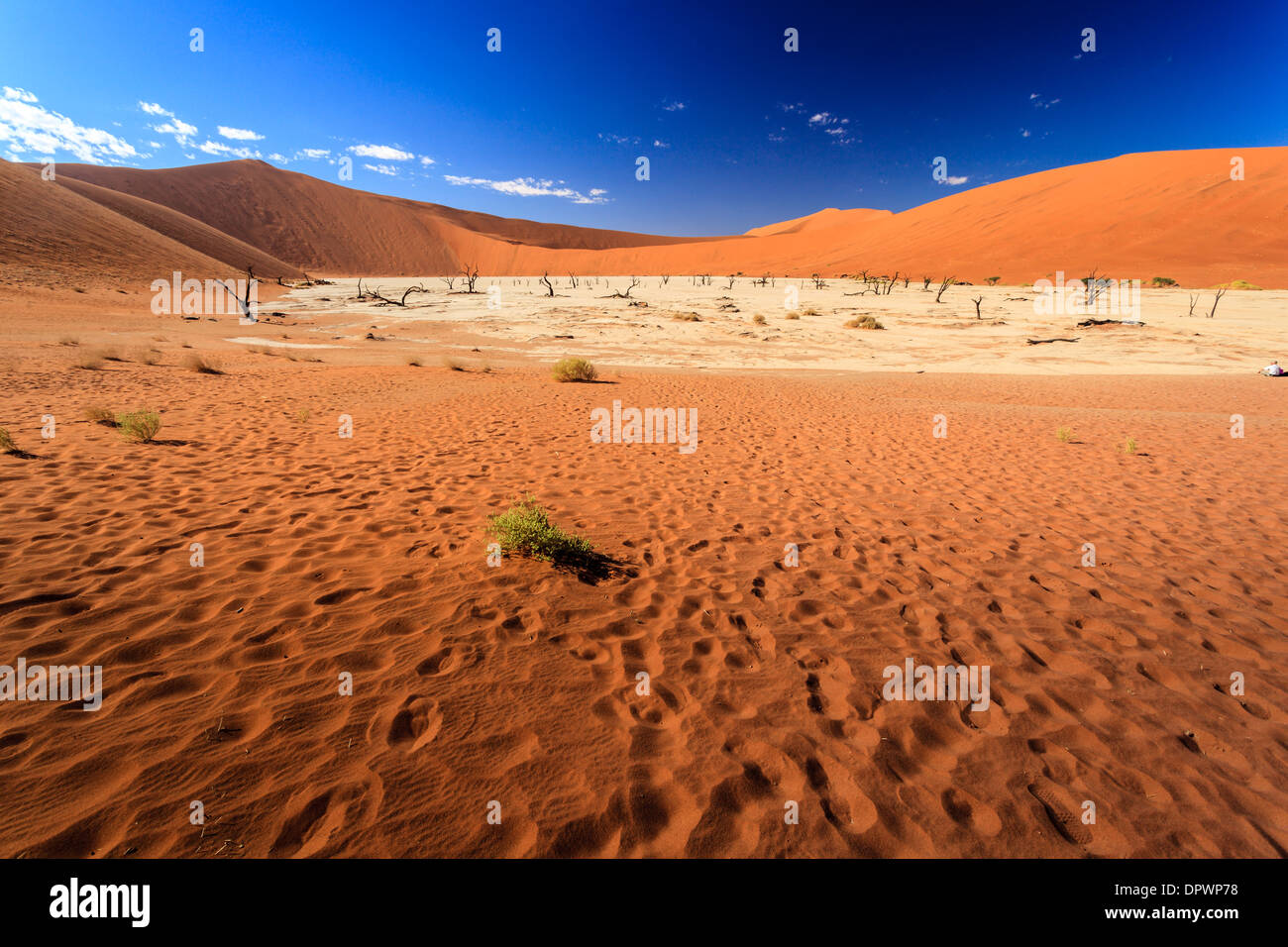 Dried earth sossusvlei namibia africa hi-res stock photography and ...