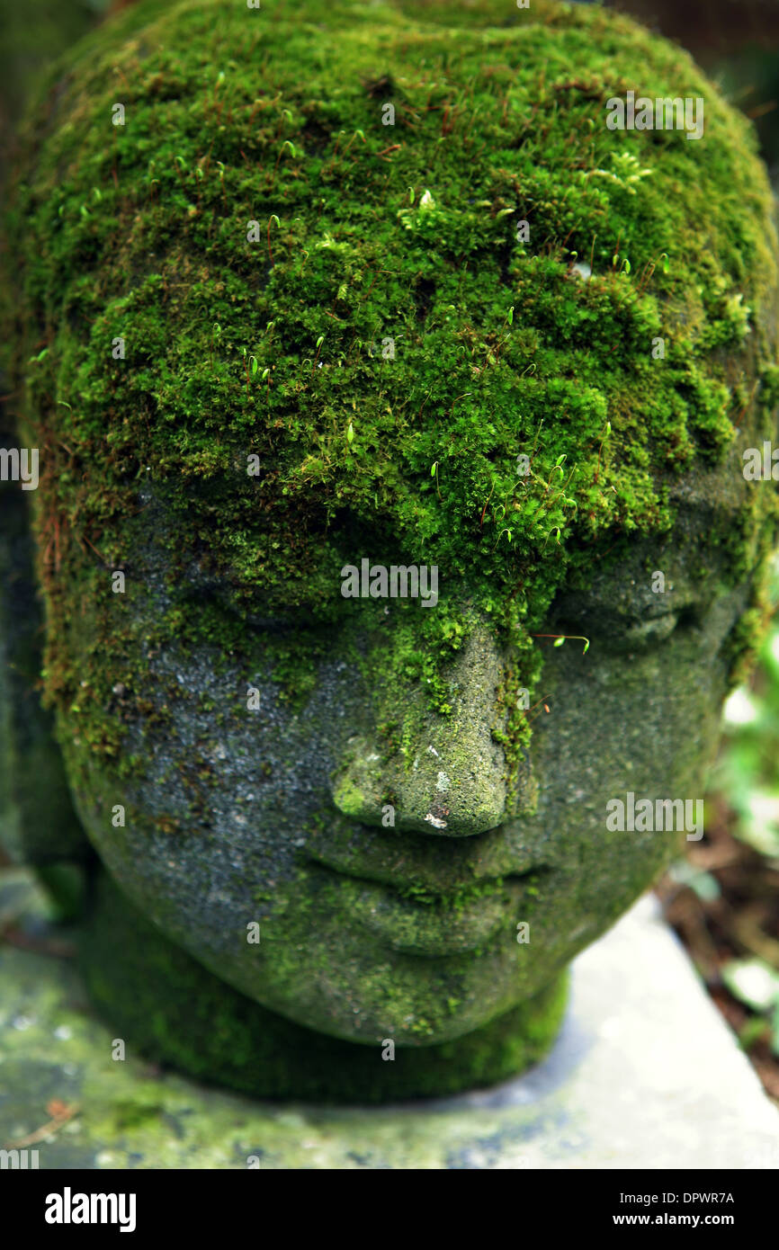 Moss head statue hi-res stock photography and images - Alamy