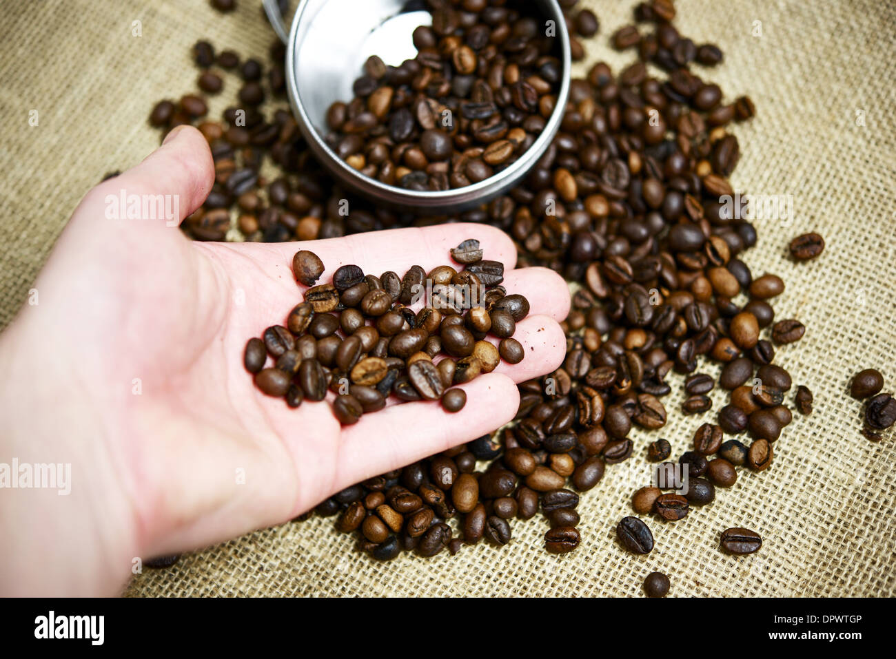 Coffee Beans Selection. Fresh Coffee Beans on the Hand Stock Photo - Alamy