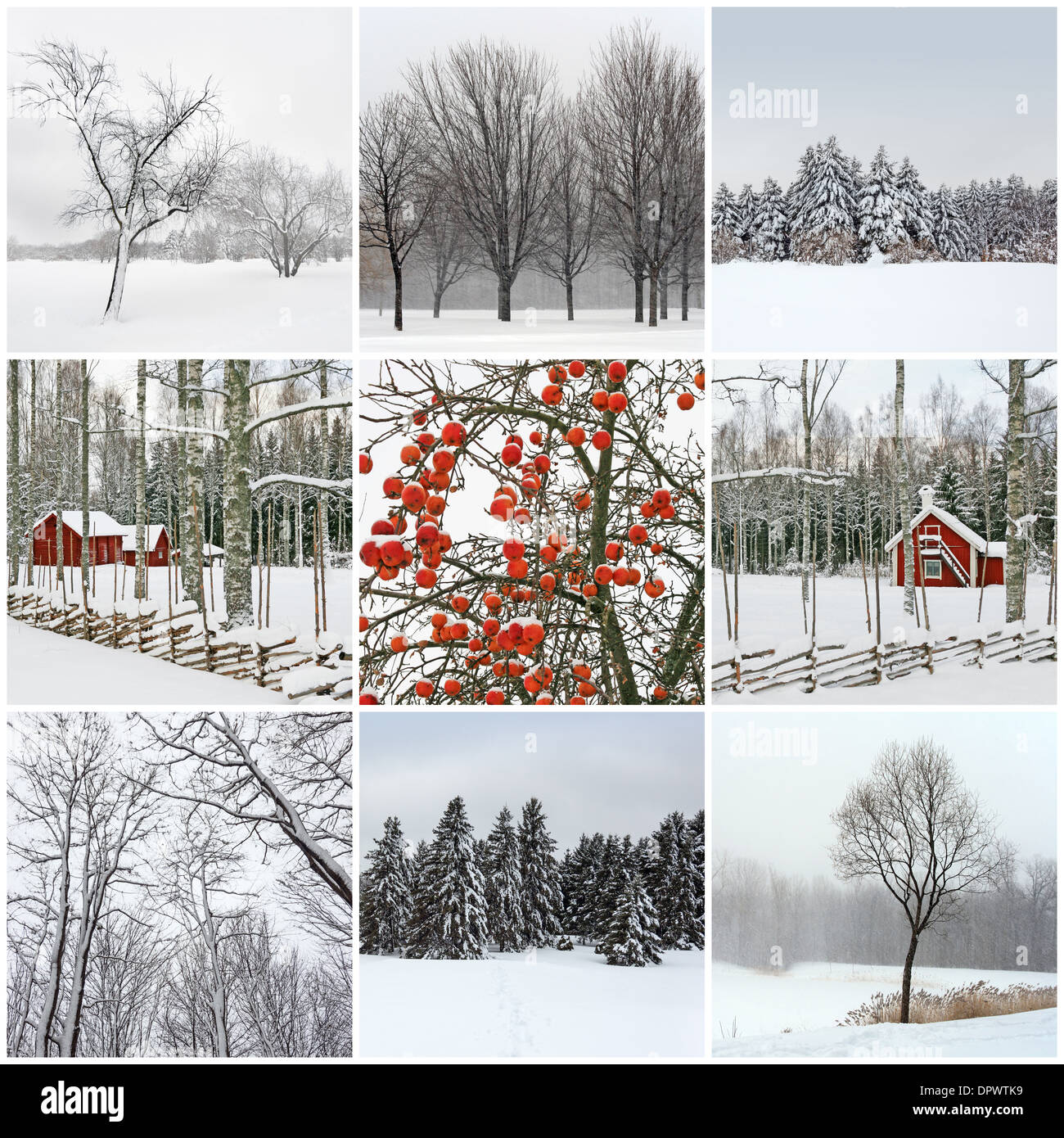 Collage beautiful nature landscapes hi-res stock photography and images ...
