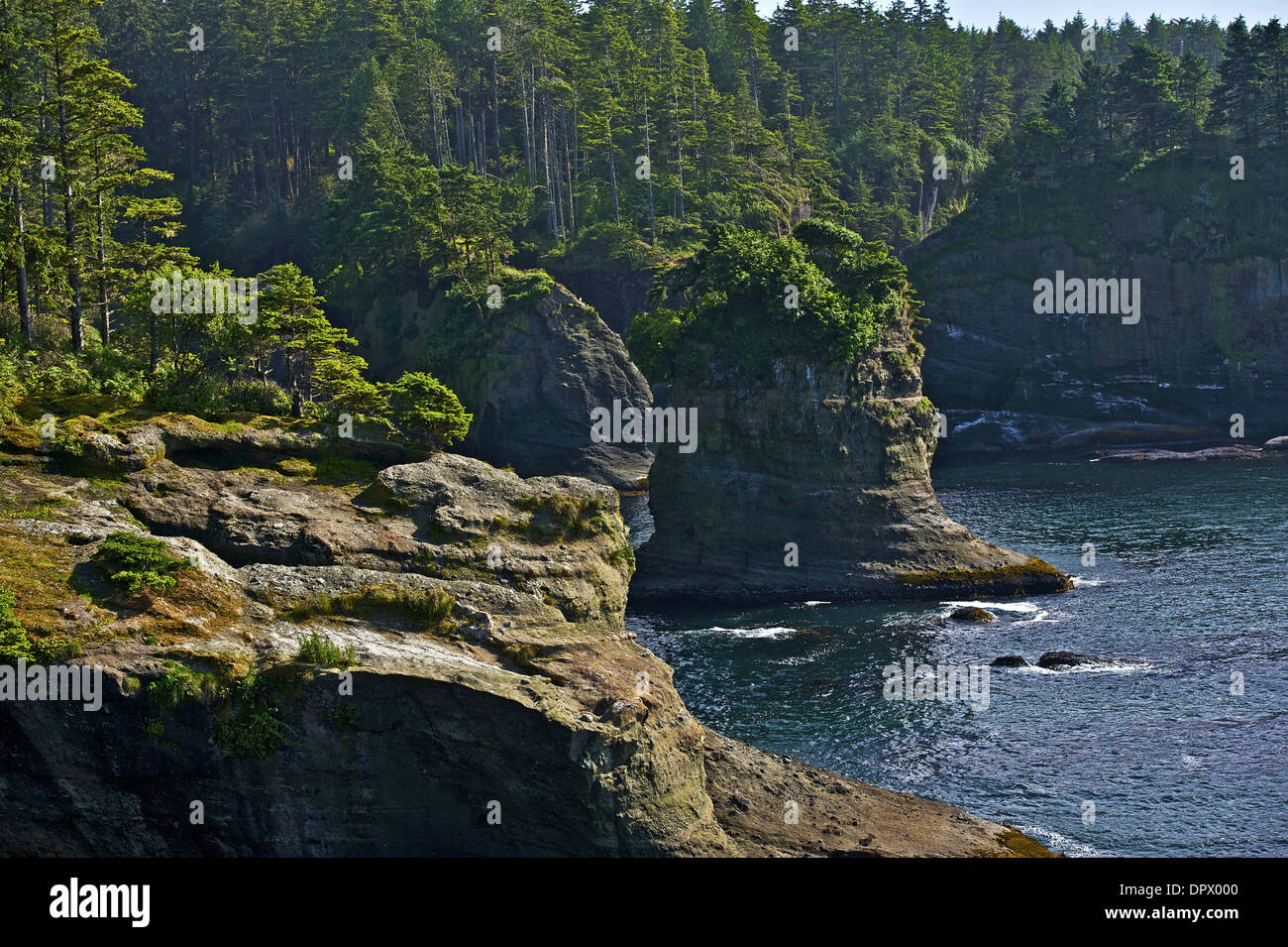 Northwest Pacific Shore Cliffs - Washington State, USA. Scenic Shoreline Stock Photo - Alamy