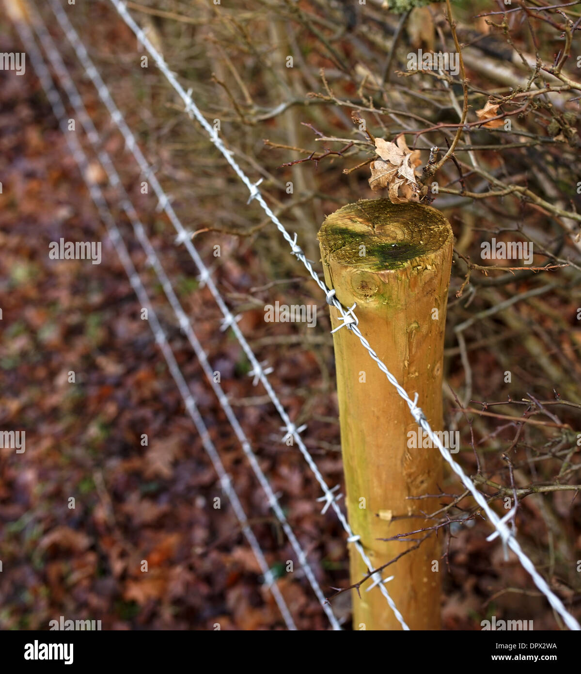 Wood and wire field fencing hi-res stock photography and images - Alamy