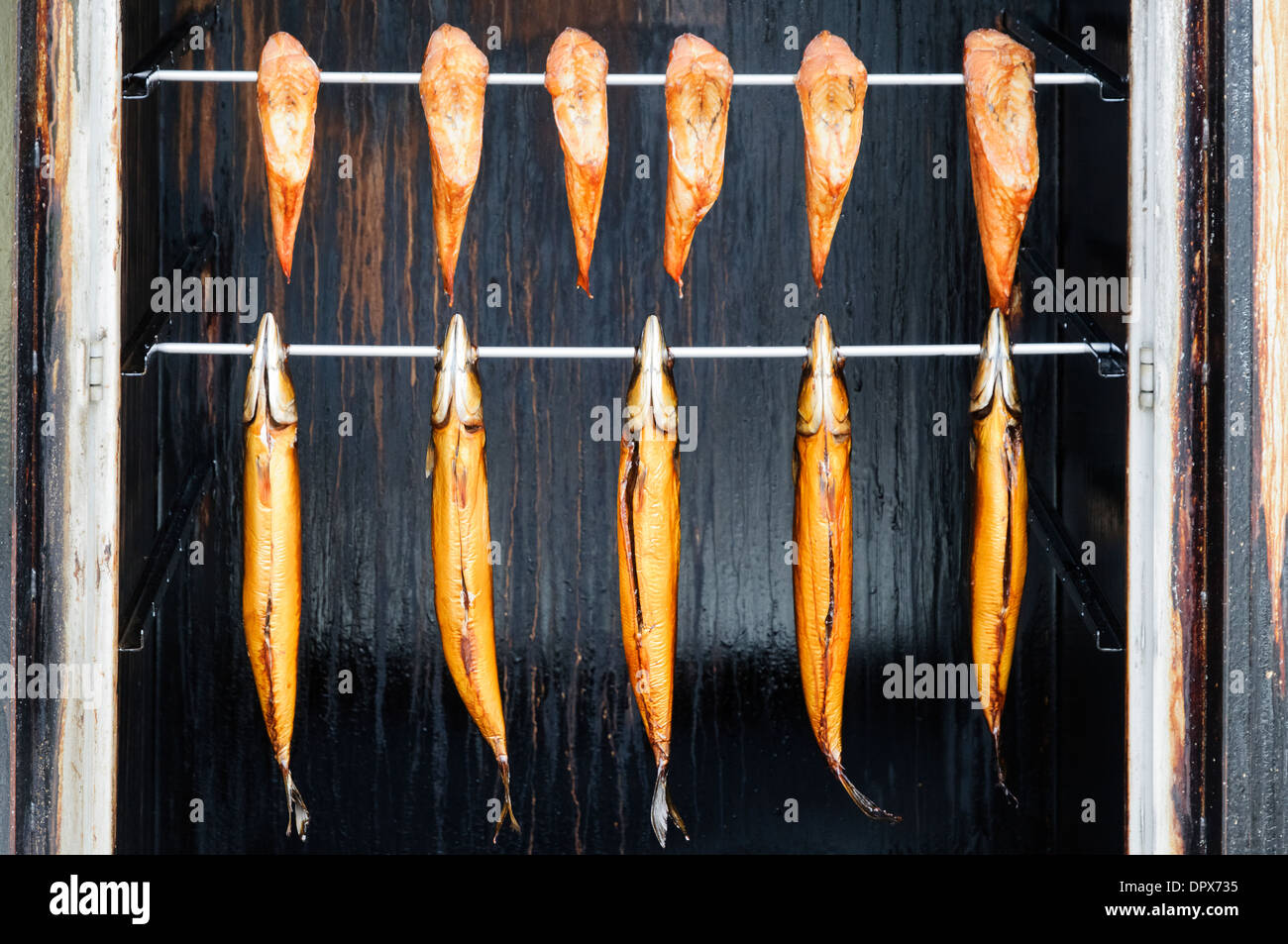Oven smoked fish hi-res stock photography and images - Alamy