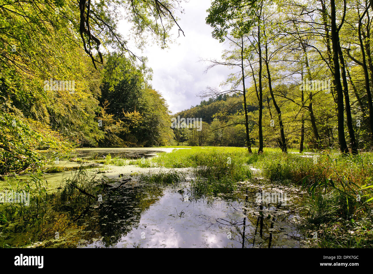 Wetlands in the world hi-res stock photography and images - Alamy