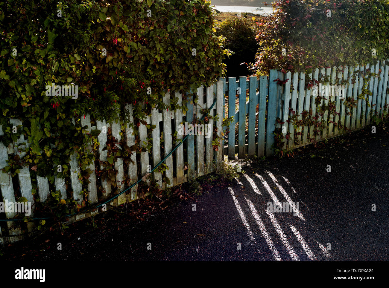 Garden gate, Plockton, The Scottish highlands Stock Photo - Alamy
