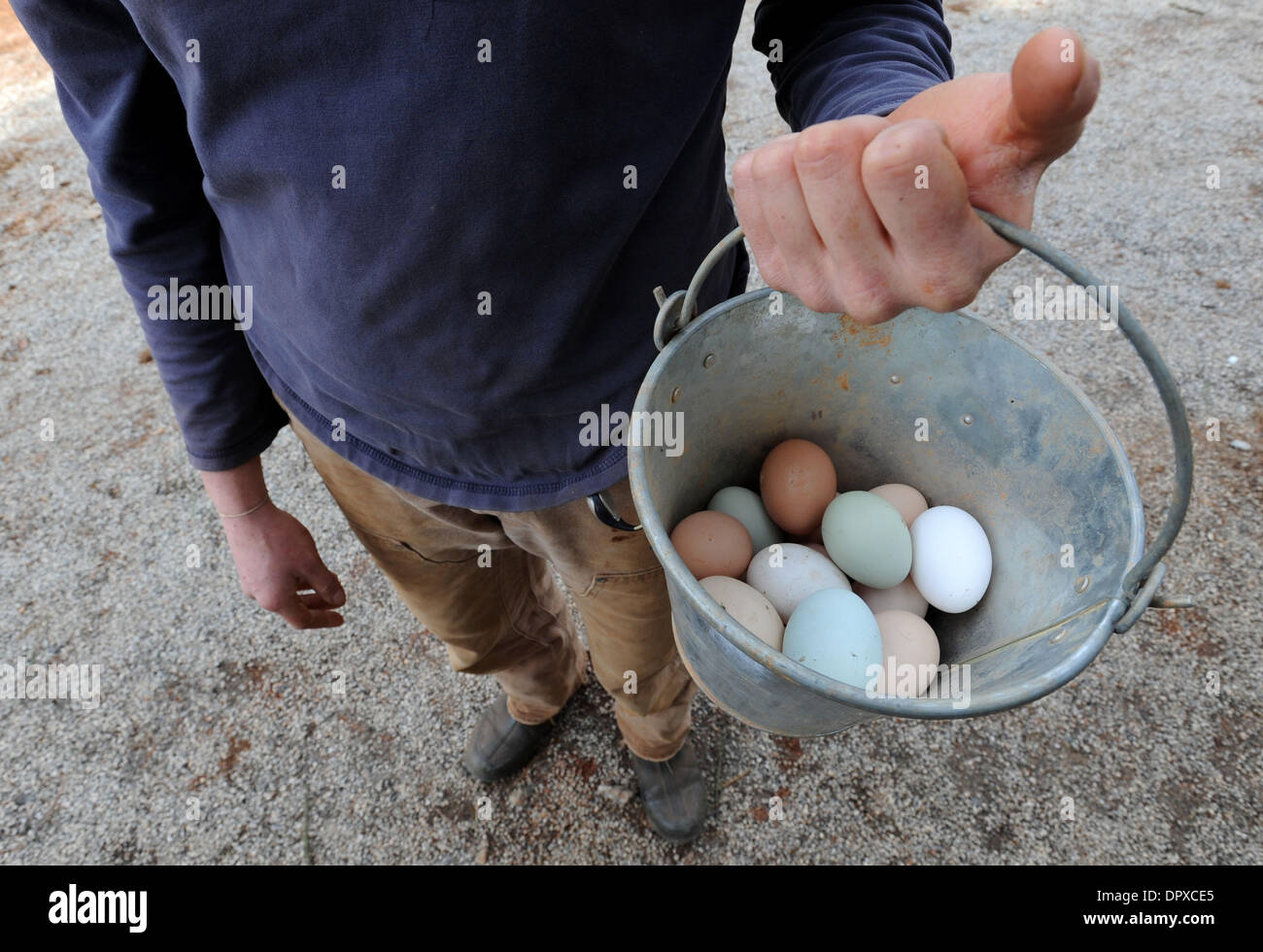 Serenbe farms hi-res stock photography and images - Alamy