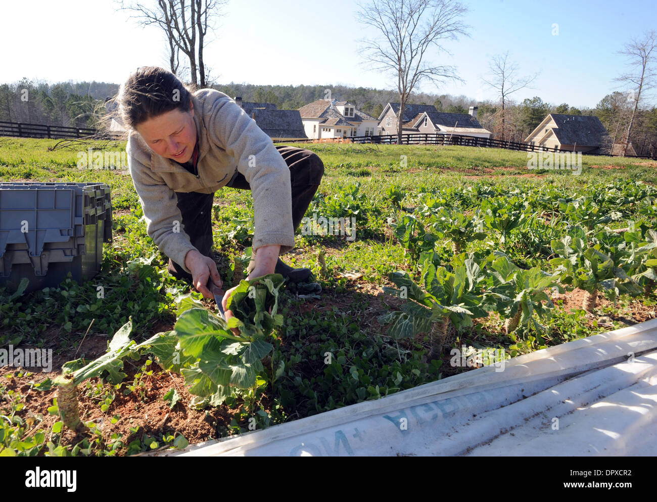 Serenbe farms hi-res stock photography and images - Alamy