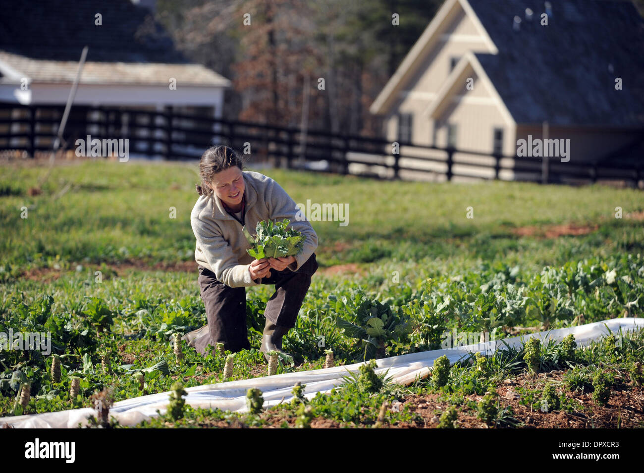 Serenbe farms hi-res stock photography and images - Alamy