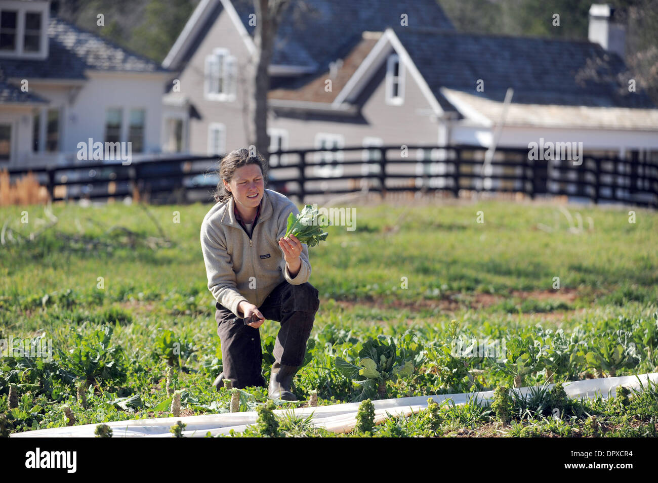 Witherington hi-res stock photography and images - Alamy