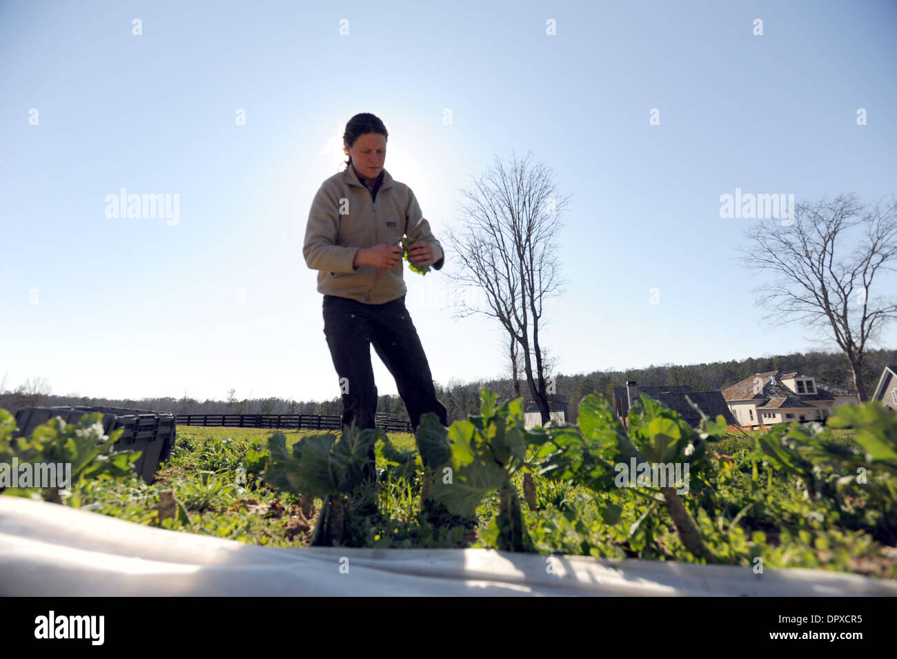 Serenbe farms hi-res stock photography and images - Alamy