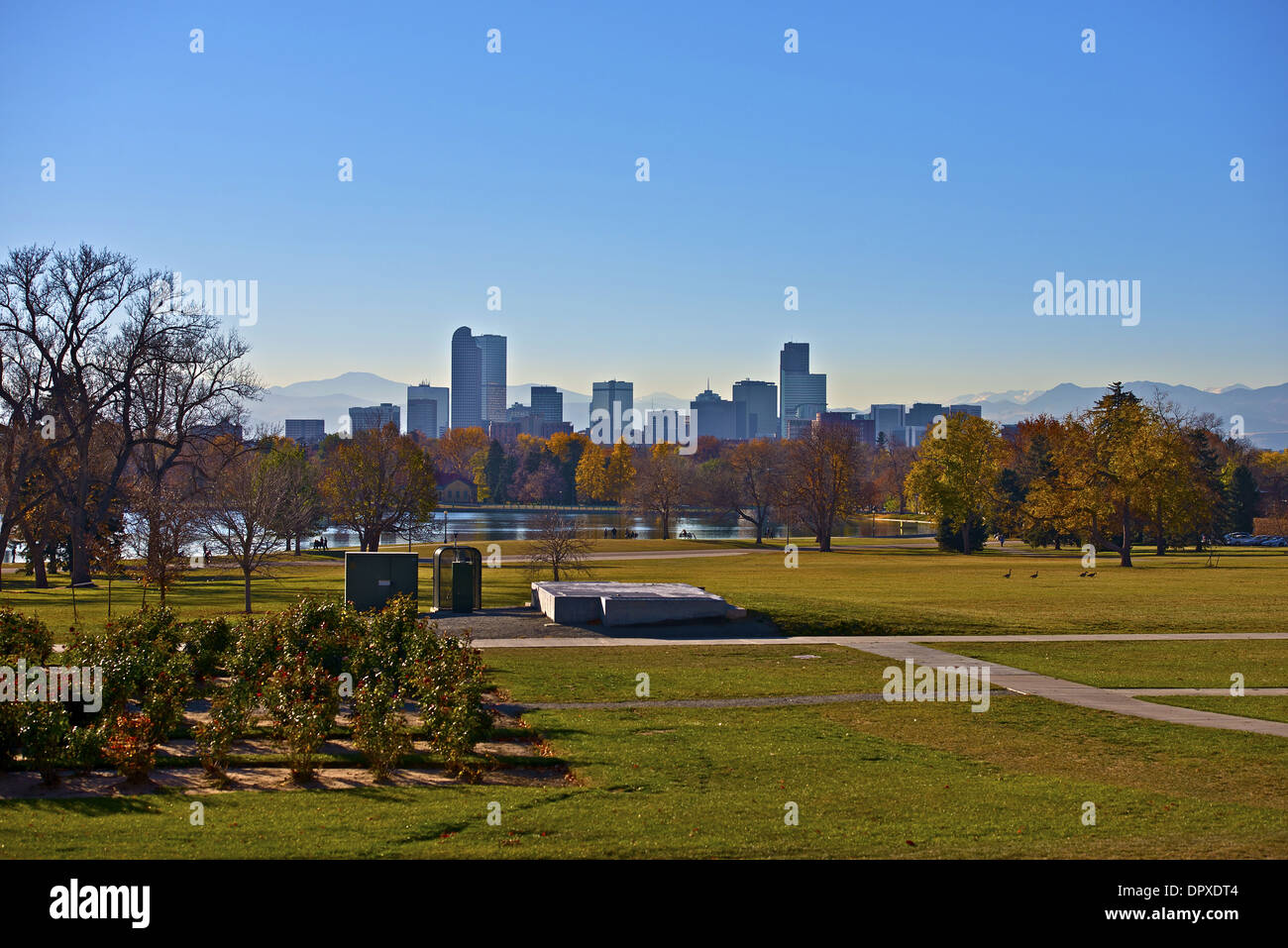City park background hi-res stock photography and images - Alamy