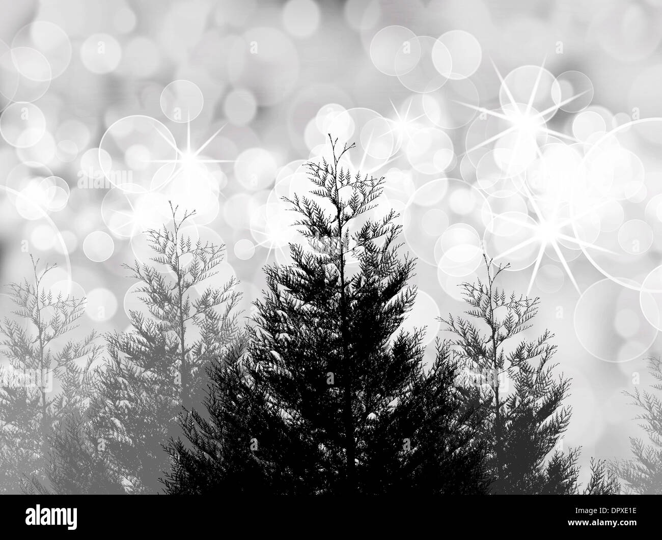 Christmas banner tree concept Black and White Stock Photos & Images - Alamy