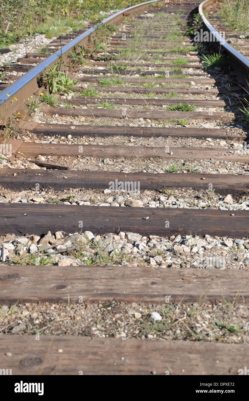 Macro rail hi-res stock photography and images - Alamy