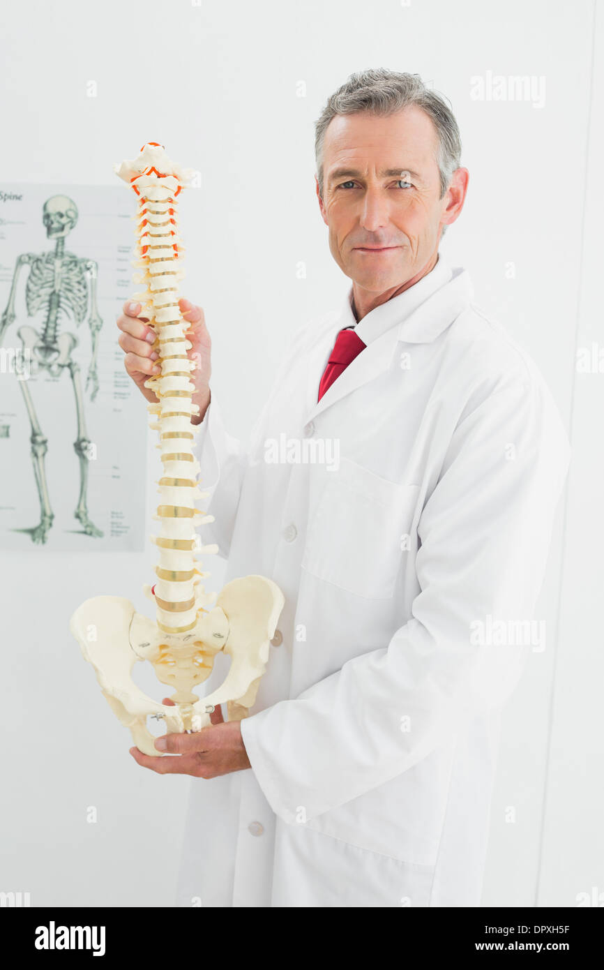 Confident doctor holding skeleton model in office Stock Photo - Alamy