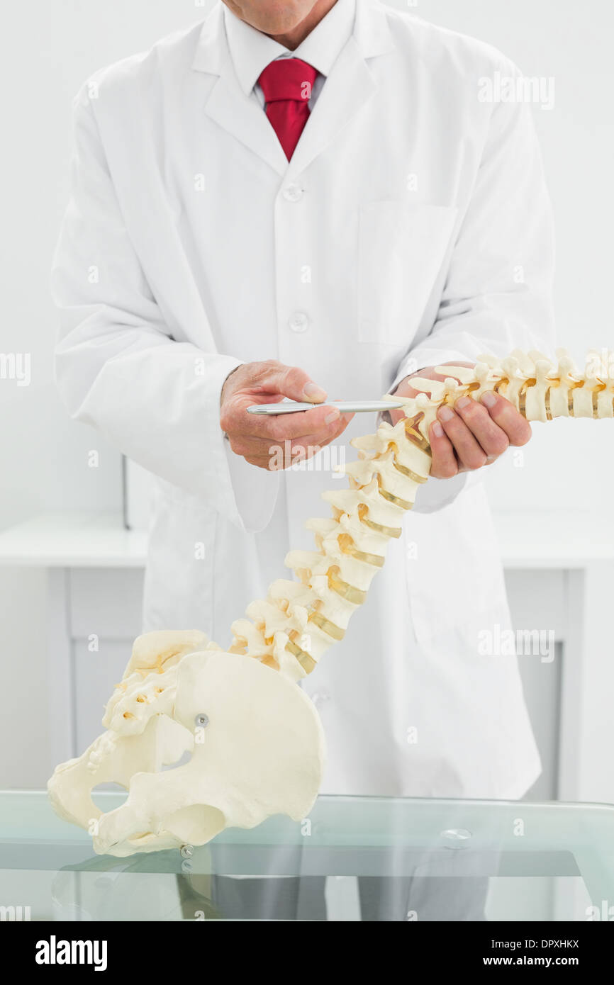 Male doctor with skeleton model Stock Photo - Alamy