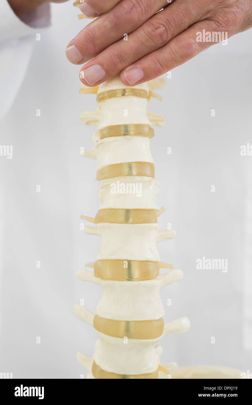 Mid section of hand and skeleton model Stock Photo - Alamy