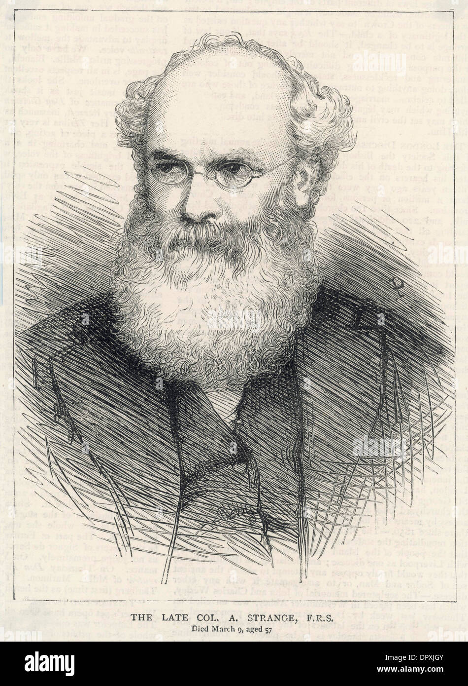 Strange combination hi-res stock photography and images - Alamy